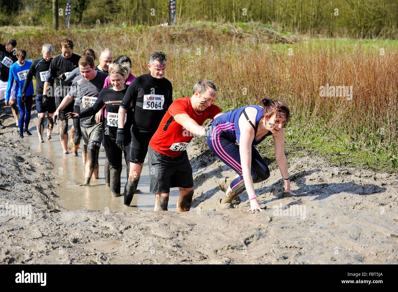 Runners at obstacle course race, UK Stock Photo - Alamy