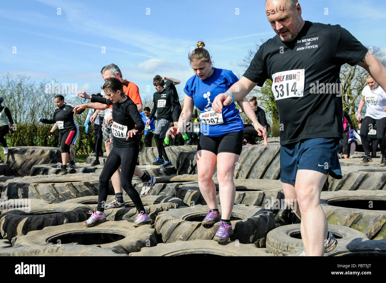 Runners at obstacle course race, UK Stock Photo - Alamy