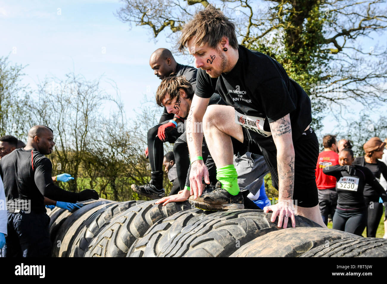 Runners at obstacle course race, UK Stock Photo - Alamy