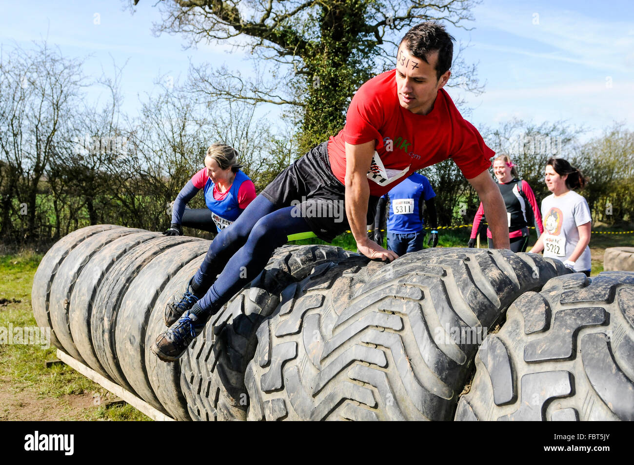 Runners at obstacle course race, UK Stock Photo - Alamy