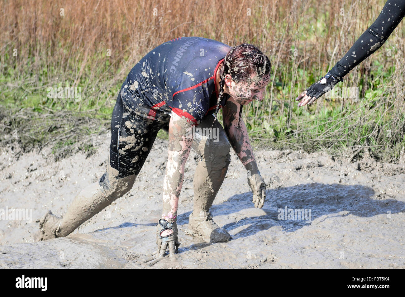 Male runner stuck in mud at obstacle course race, UK Stock Photo - Alamy