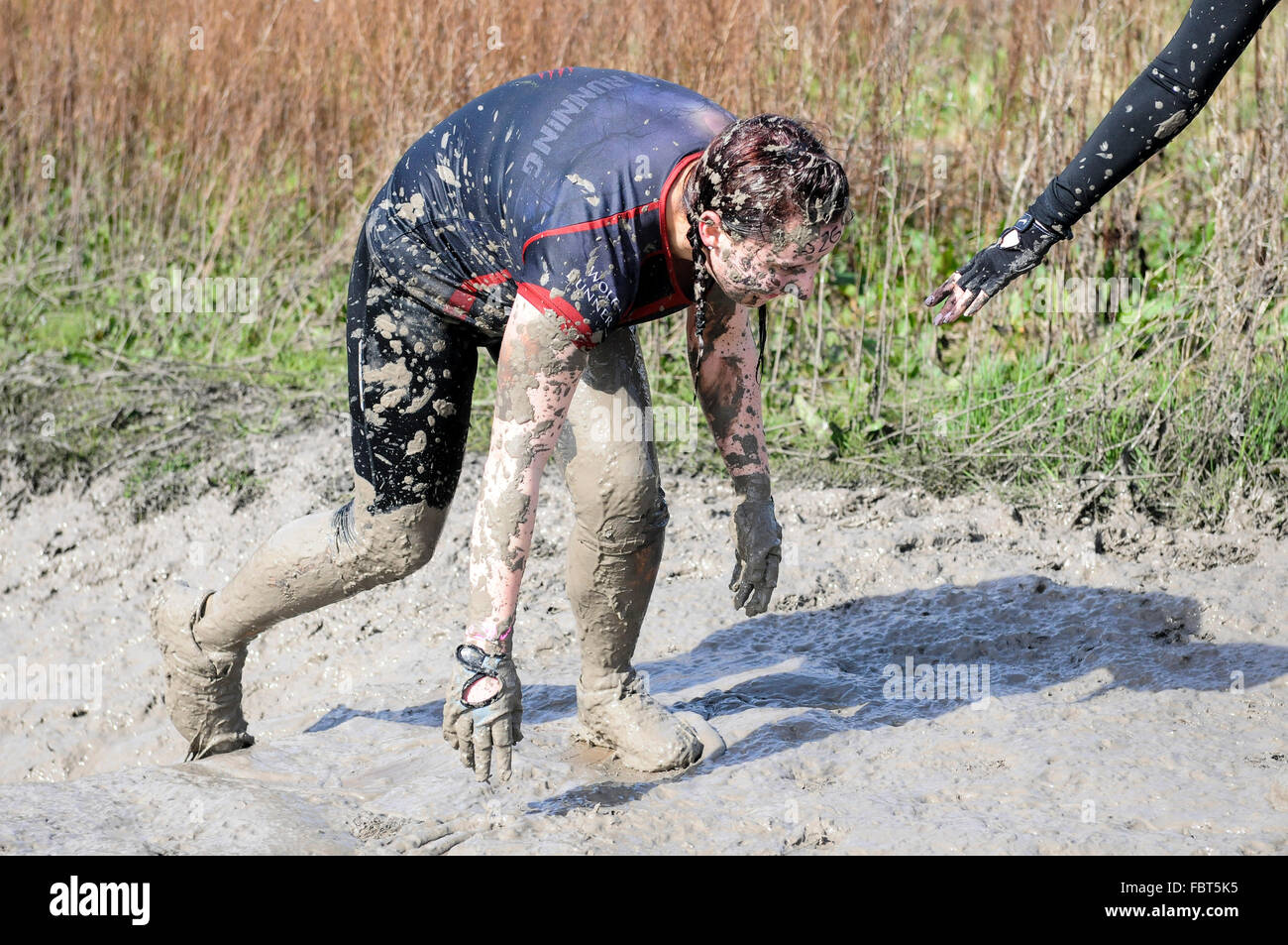 Male runner stuck in mud at obstacle course race, UK Stock Photo - Alamy