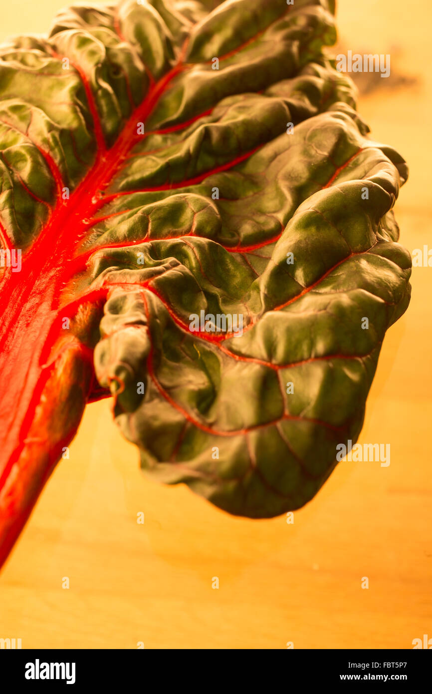 Red chard bright leaf Stock Photo - Alamy