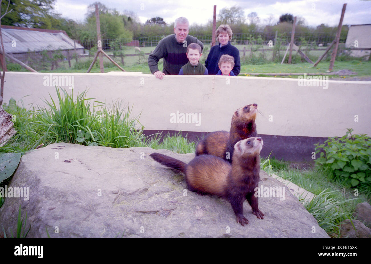 The British Wildlife Centre at Newchapel, Lingfield, Surrey: Two ...