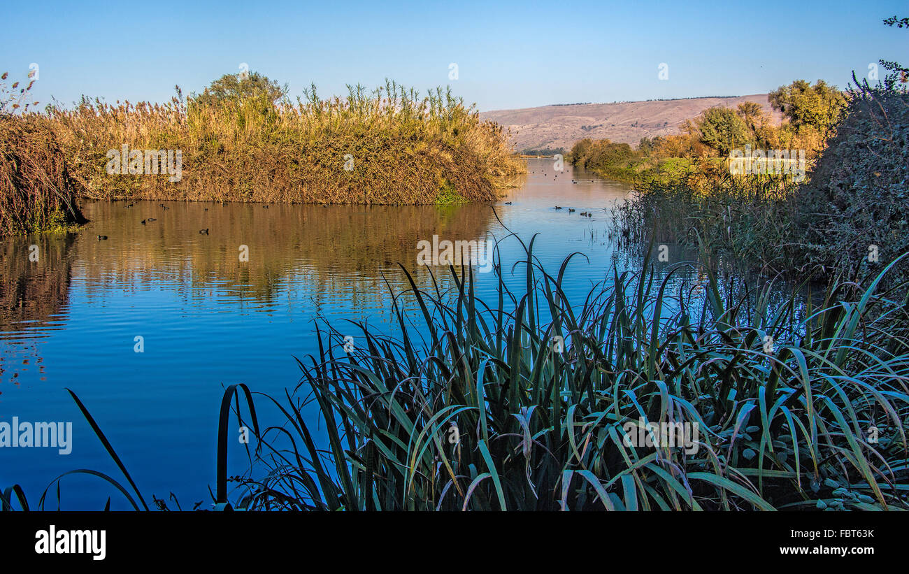 Hula valley nature reserve hi-res stock photography and images - Alamy