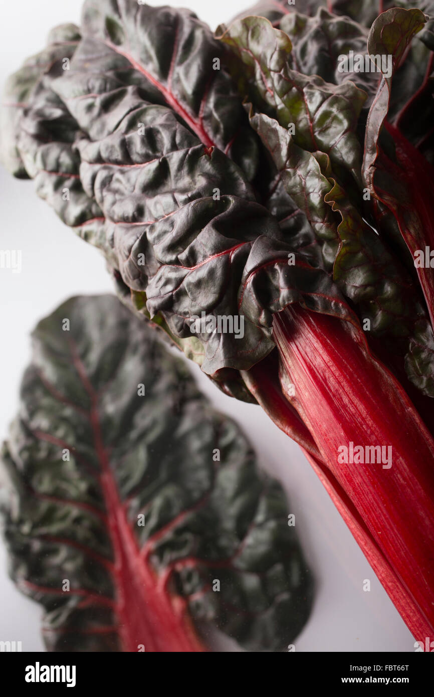 Red chard bright leaf Stock Photo - Alamy