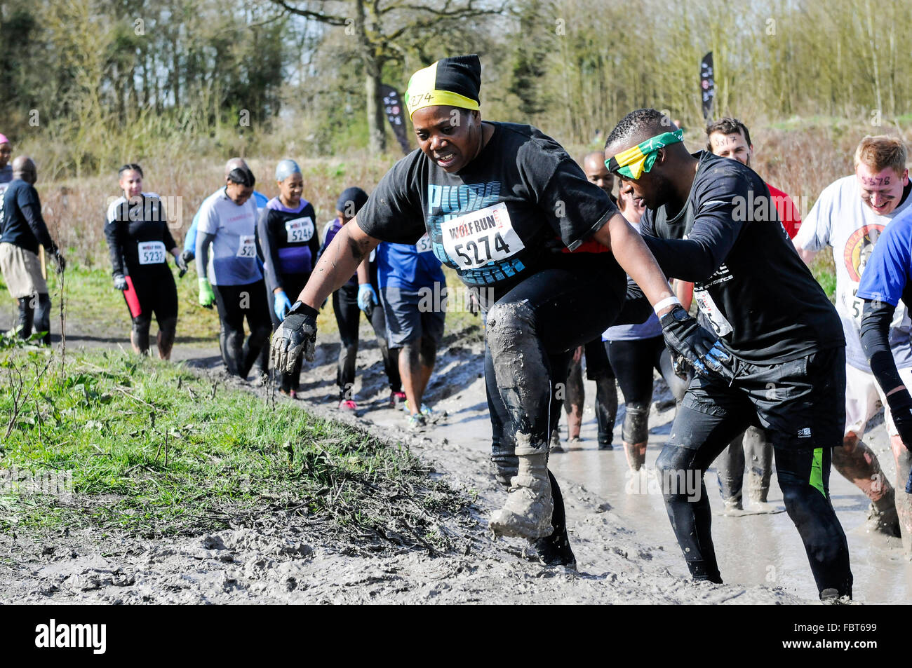 Runners at obstacle course race, UK Stock Photo - Alamy