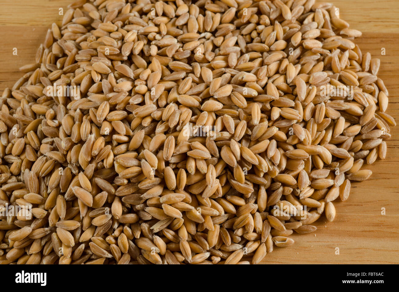 spelt, close up, texture Stock Photo - Alamy