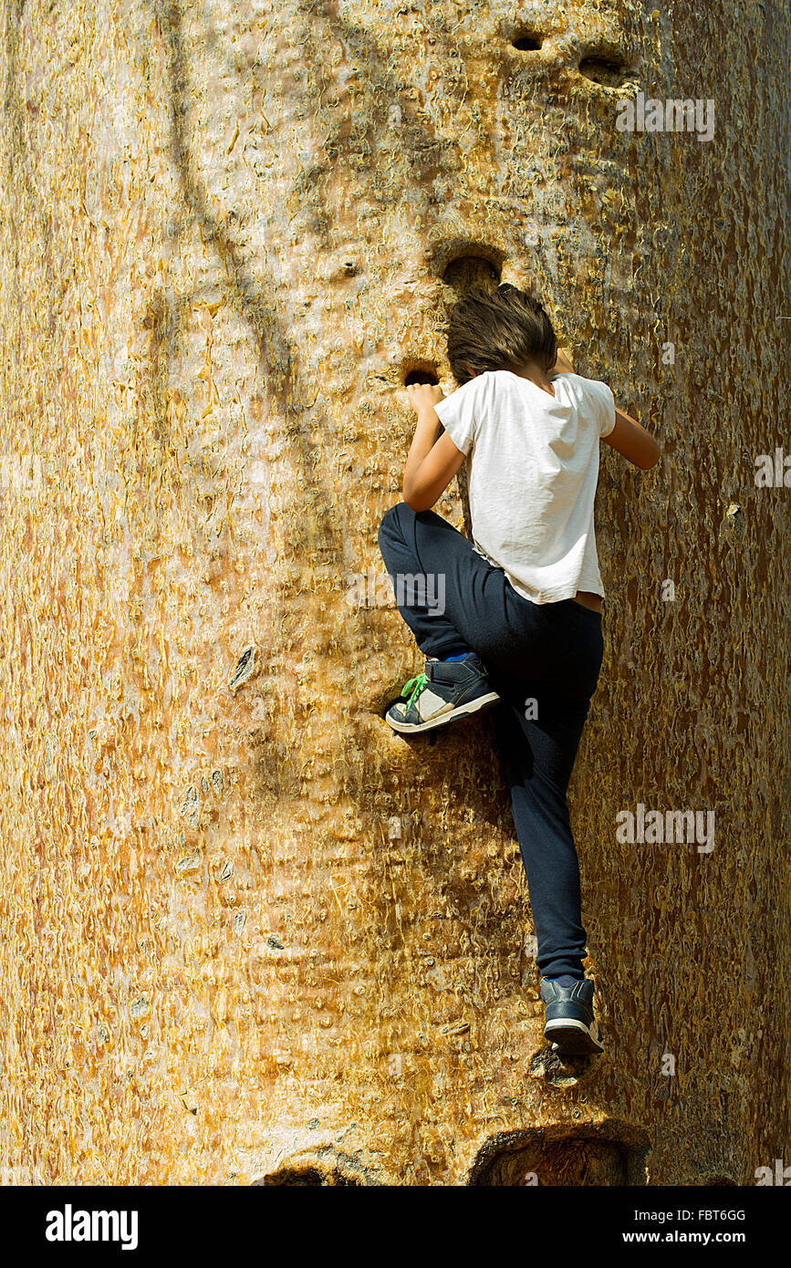 Boy climbing tree Stock Photo - Alamy