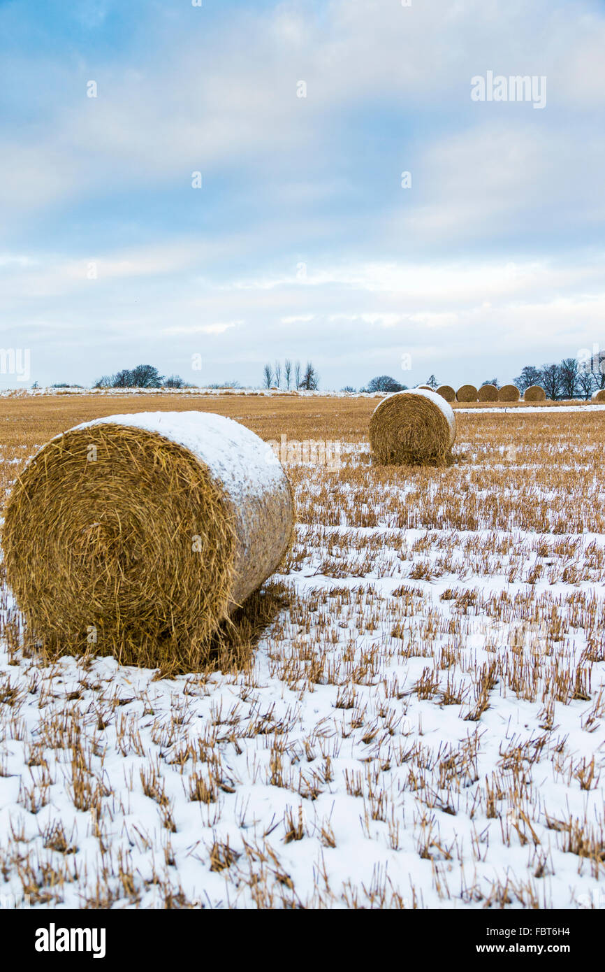 Snow covered hay bales hi-res stock photography and images - Alamy