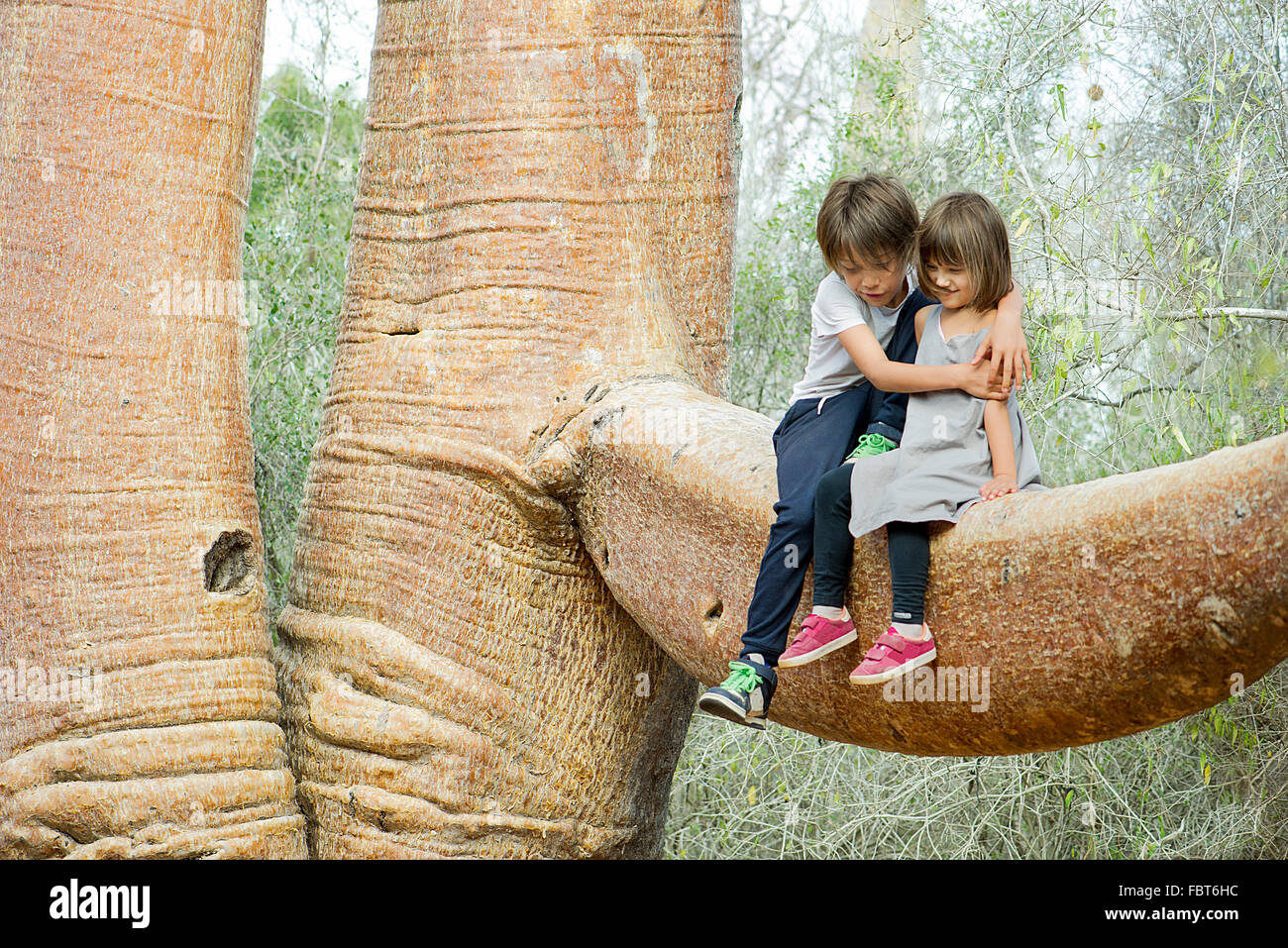 Embracing trees boys girls hi-res stock photography and images - Alamy