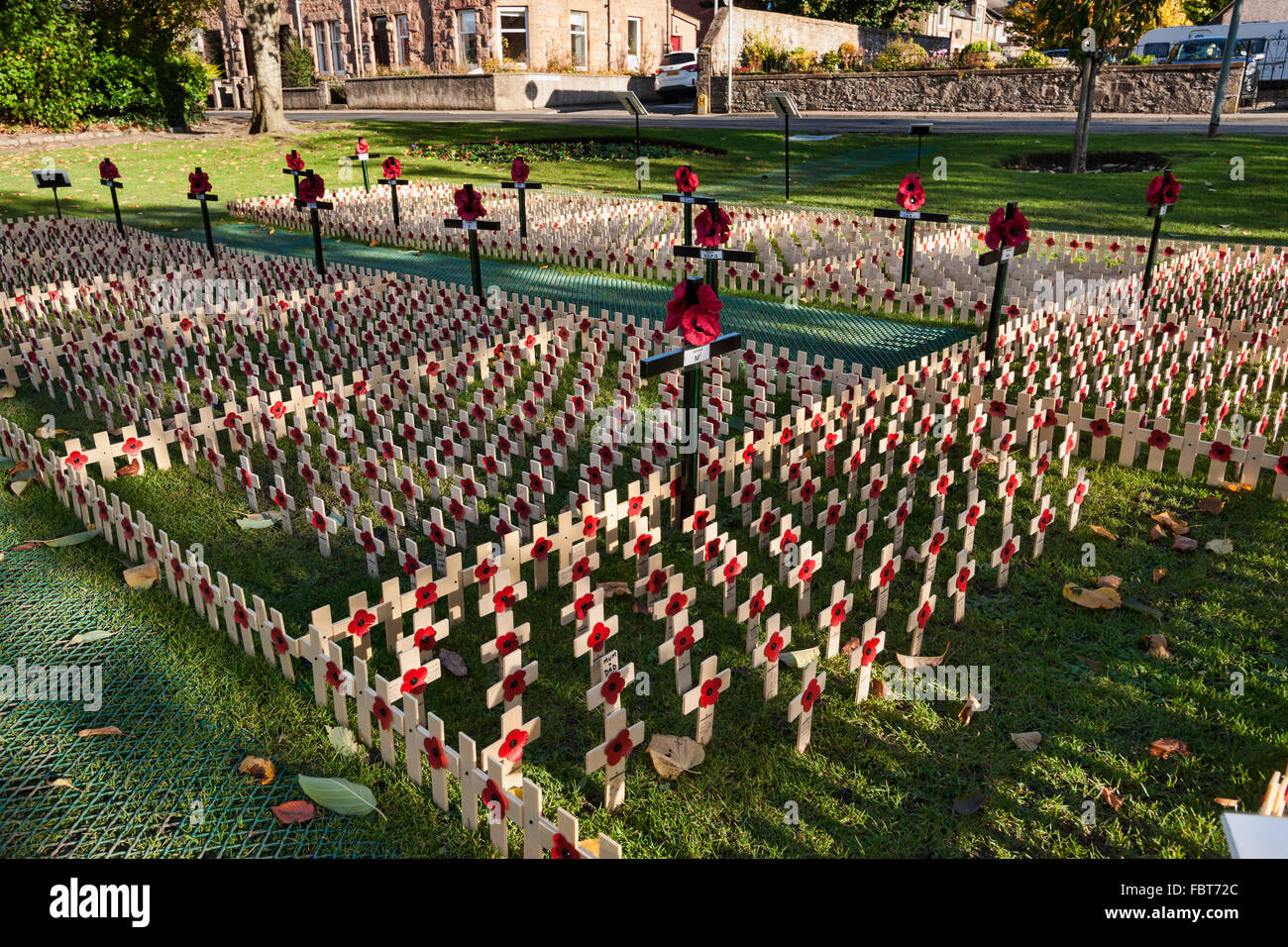 Remembrance day crosses, Inverness, Scotland, UK Stock Photo - Alamy