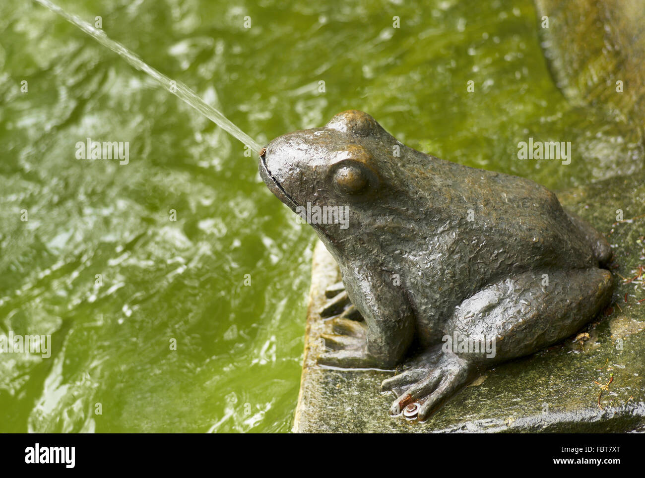 Bronze frog hi-res stock photography and images - Alamy