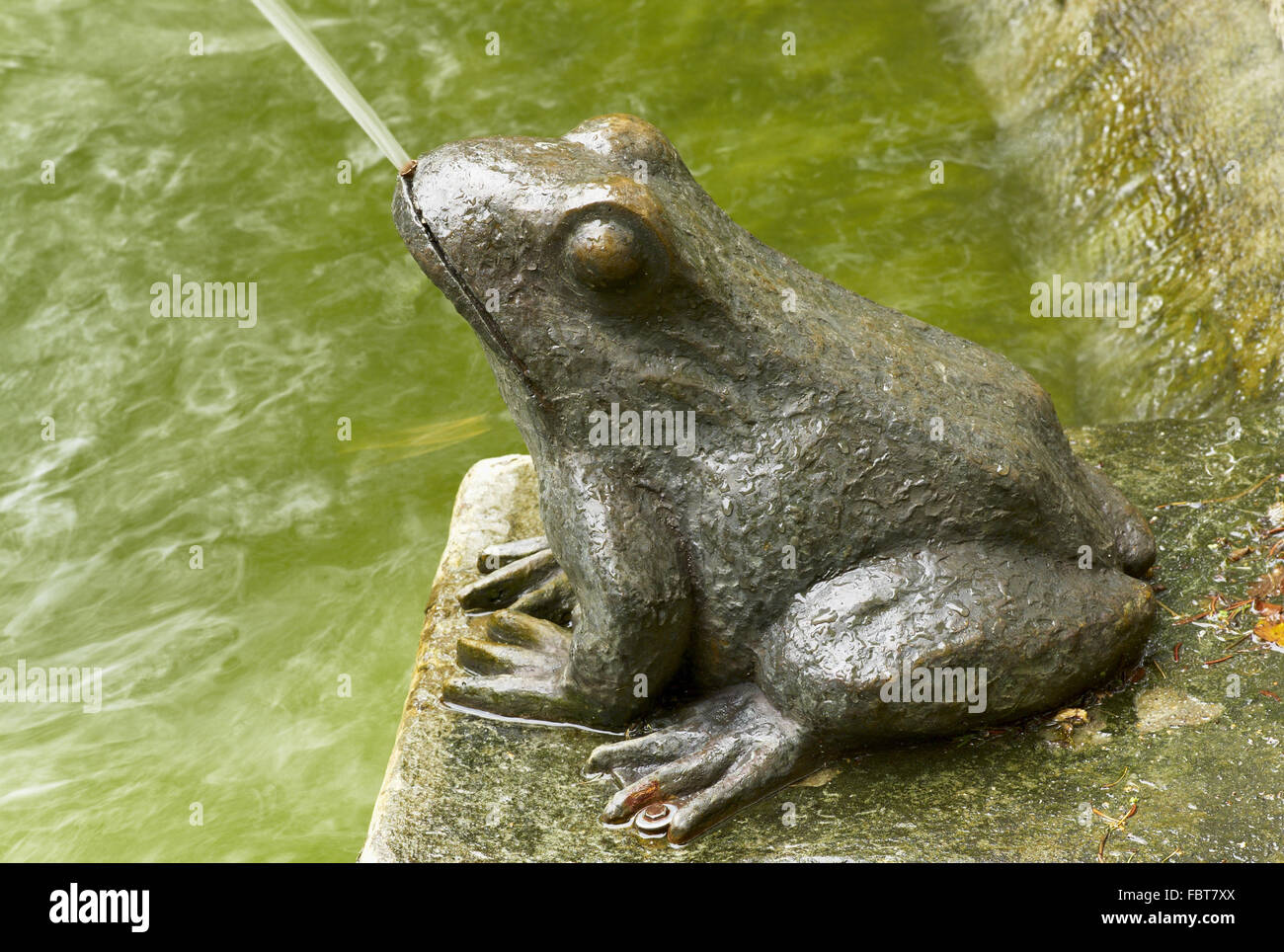 Bronze frog hi-res stock photography and images - Alamy