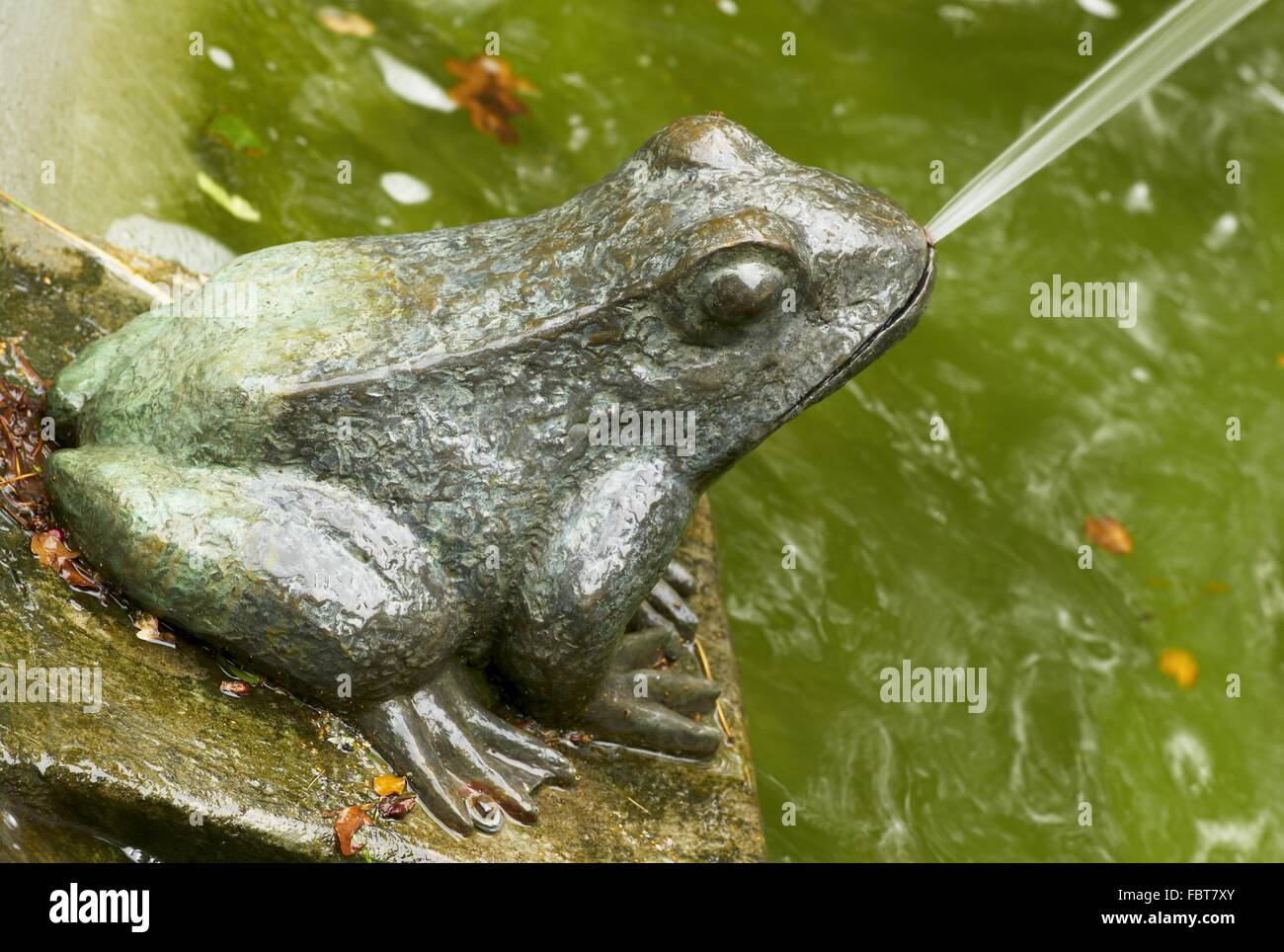 Bronze frog hi-res stock photography and images - Alamy