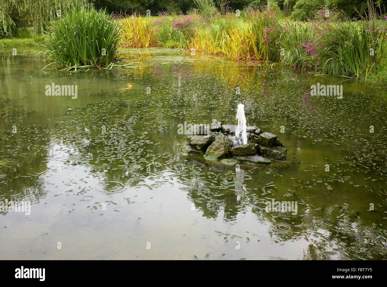 At the lake Stock Photo - Alamy