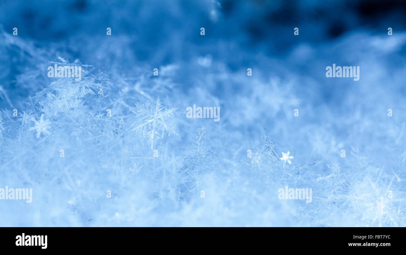 natural snowflakes on snow Stock Photo - Alamy