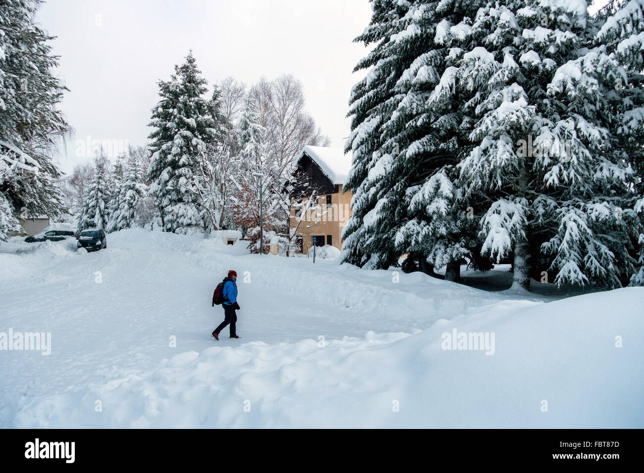 Solitary female figure in blue with deep snow on pine trees, French ...