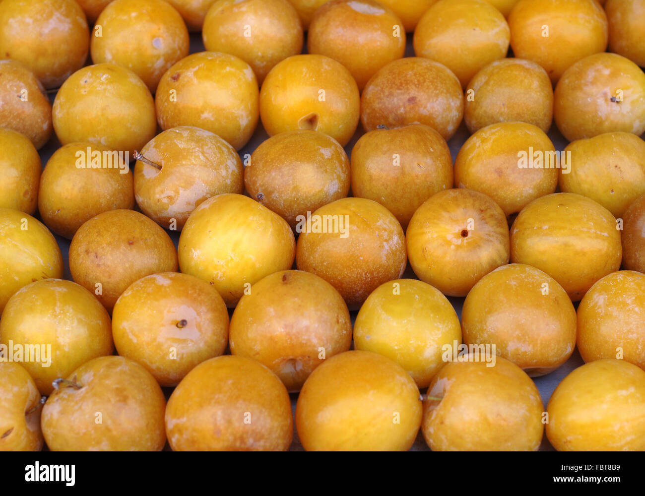 Ringlotten hi-res stock photography and images - Alamy