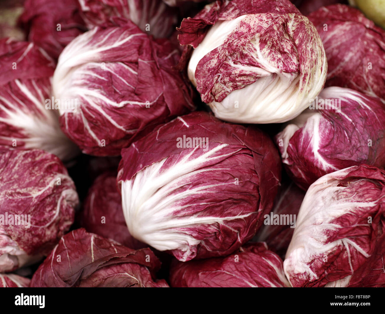 Radicio hi-res stock photography and images - Alamy