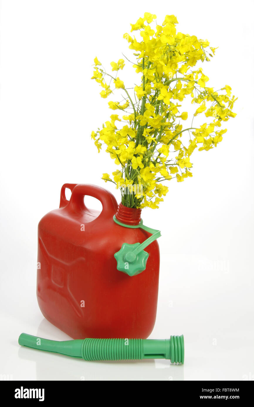 Biodiesel ernte hi-res stock photography and images - Alamy