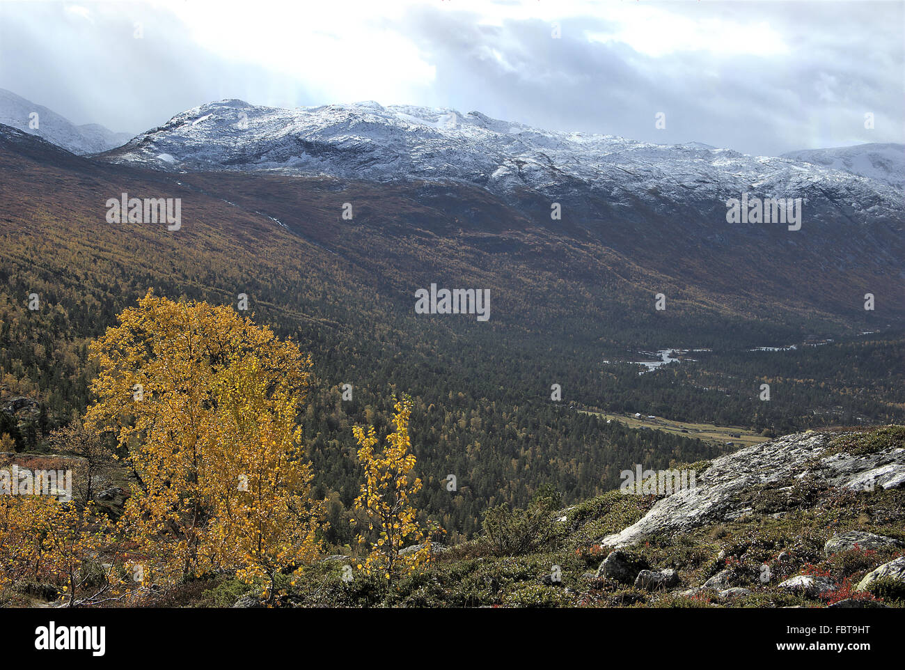Herbst in Norwegen, Autumn in Norway Stock Photo - Alamy