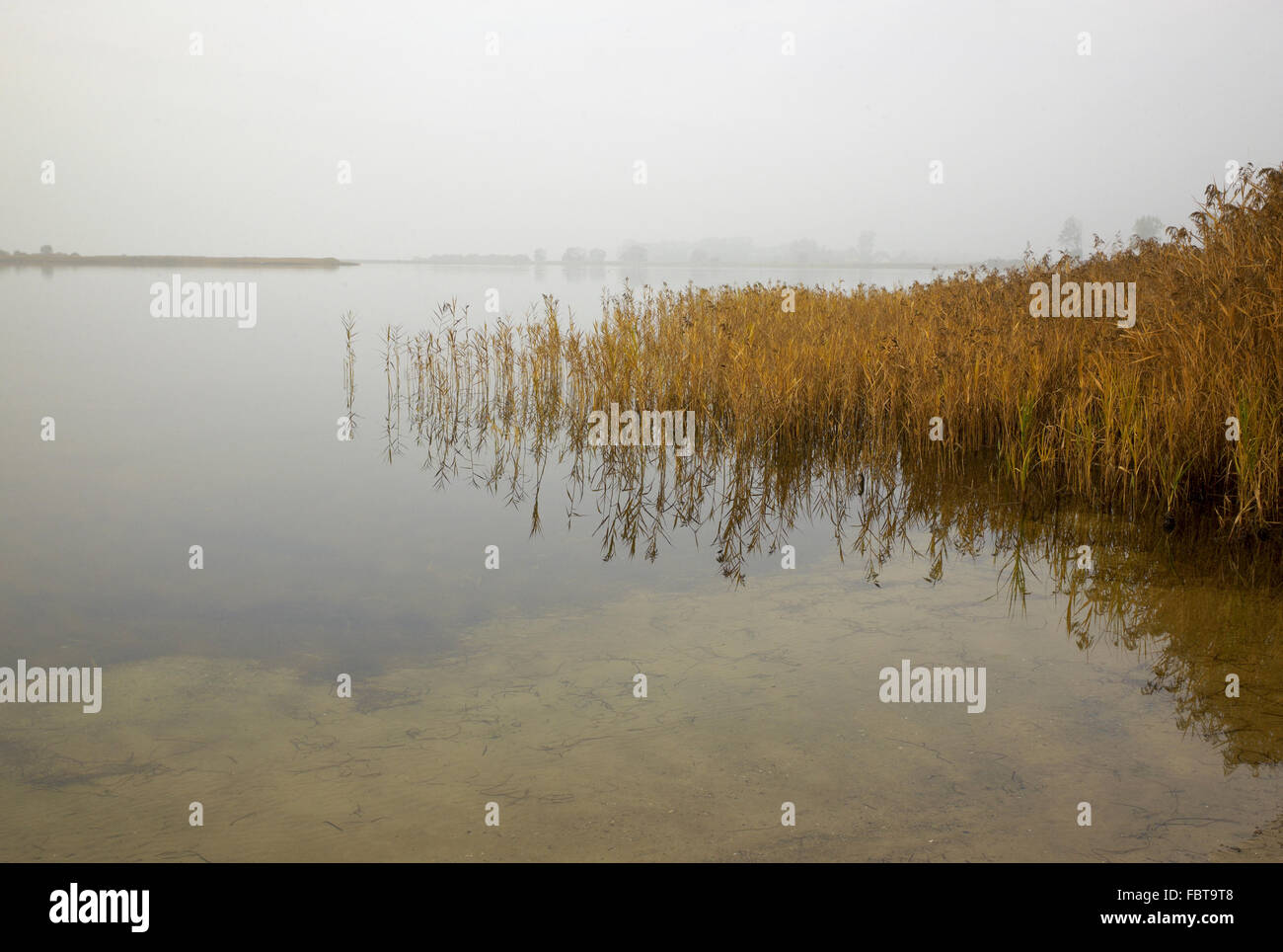 the bay of Kubitz Stock Photo - Alamy