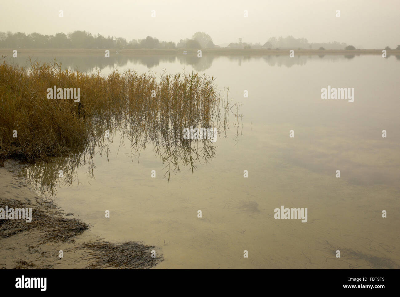 the bay of Kubitz Stock Photo - Alamy