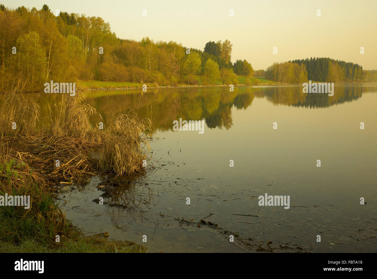 Early In The Morning In The Lake Stock Photo Alamy early-in-the-morning-in-the-lake-stock-photo-alamy