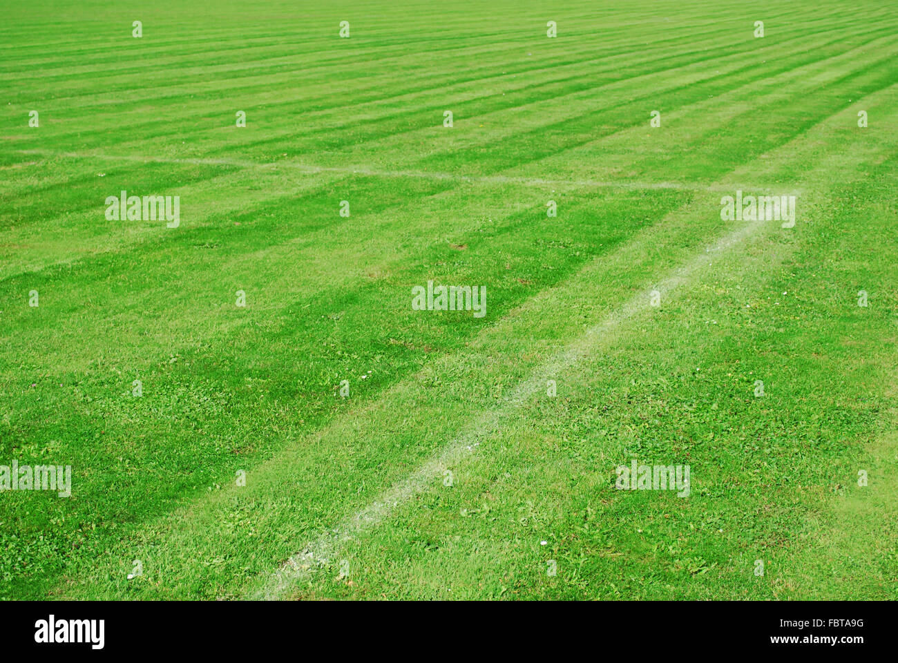 Mowed gras hi-res stock photography and images - Alamy