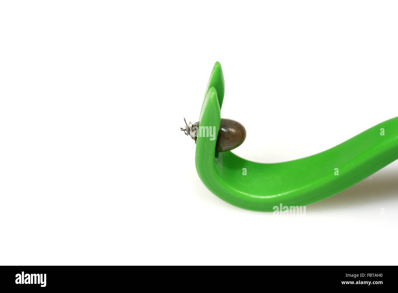 Fsme impfung hi-res stock photography and images - Alamy