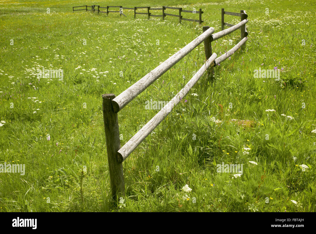 Meadow with fence Stock Photo - Alamy