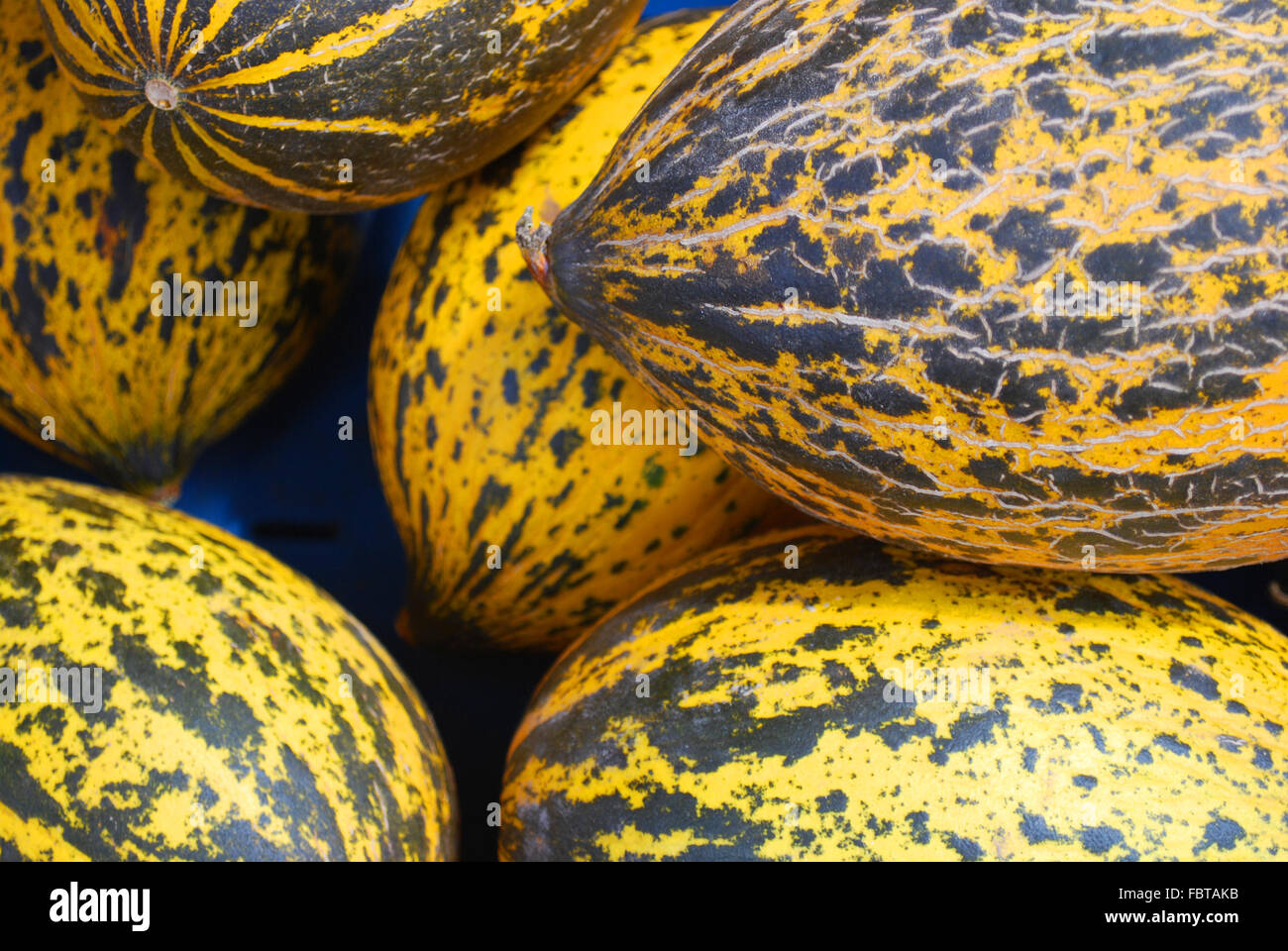 Reife melonen hi-res stock photography and images - Alamy