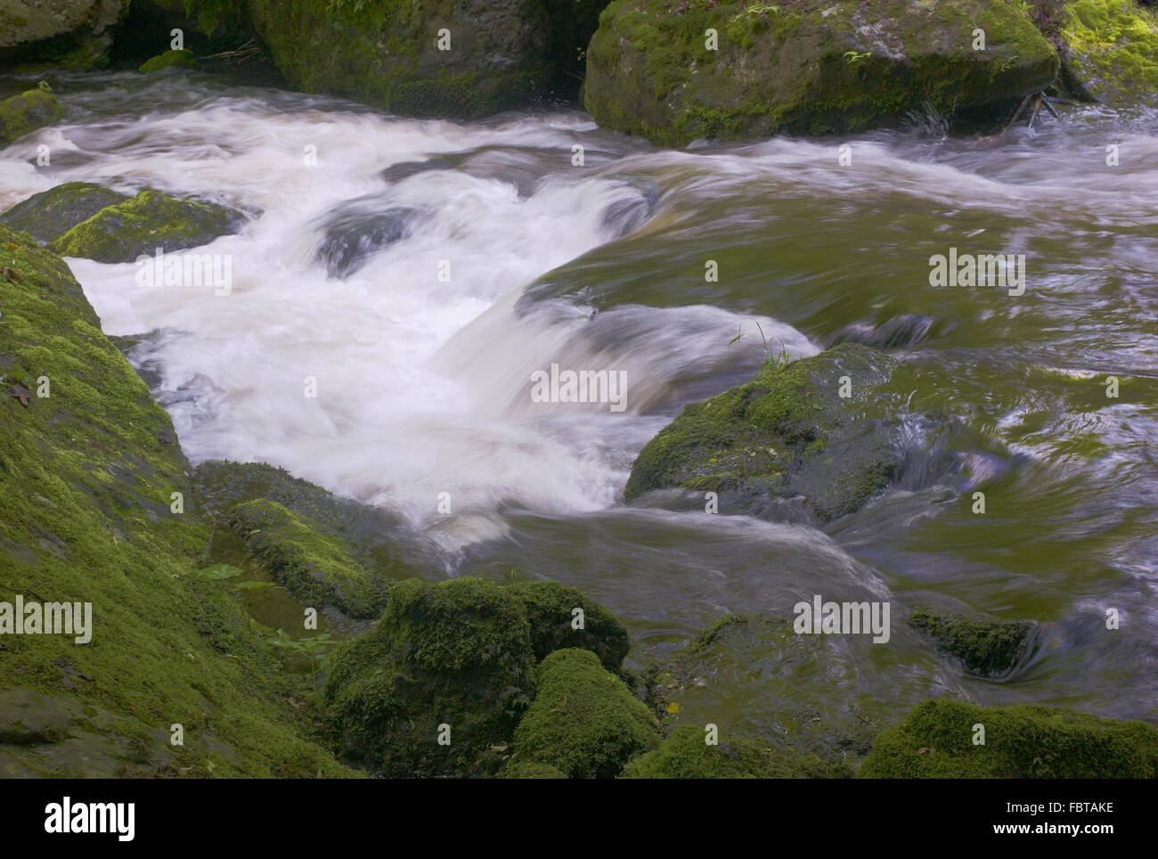 Trieb hi-res stock photography and images - Alamy