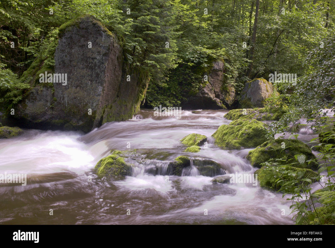 In the Trieb valley Stock Photo - Alamy