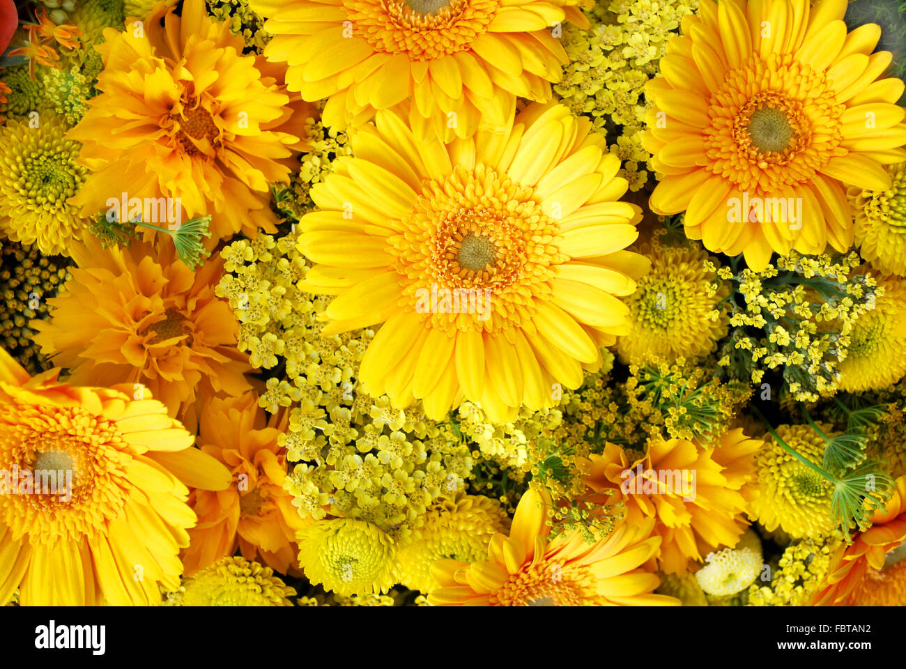 yellow flowers Stock Photo - Alamy