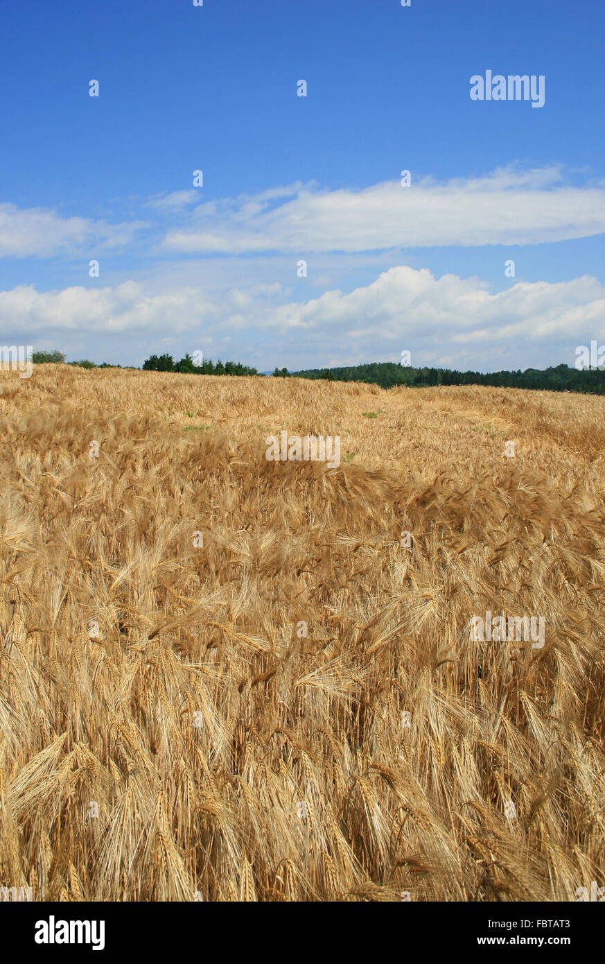 Daniel reif hi-res stock photography and images - Alamy