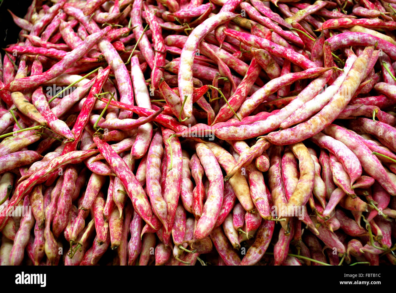 String Beans High Resolution Stock Photography and Images - Alamy