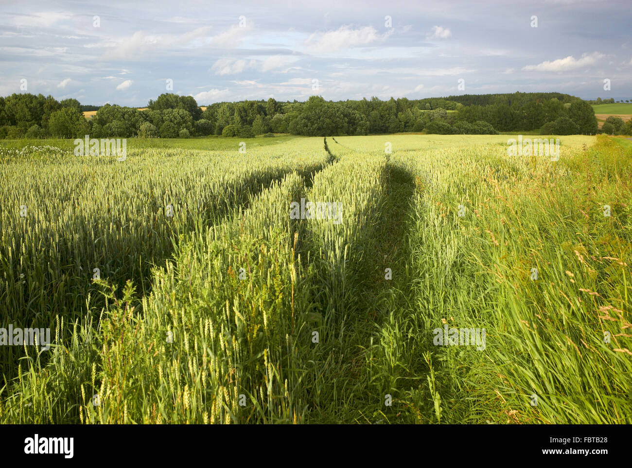 Tracks in the field Stock Photo - Alamy