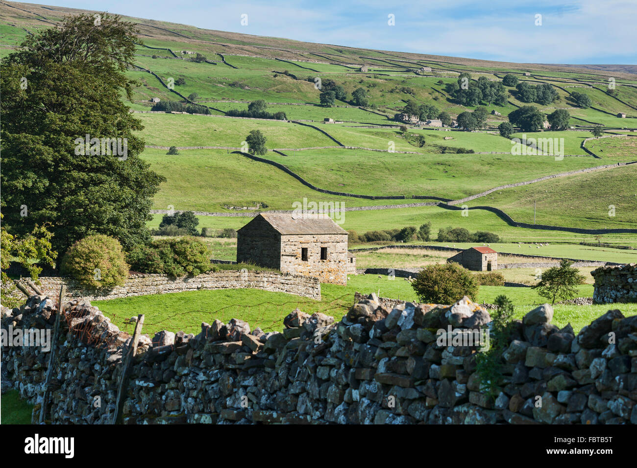 Wensleydale Landscape, near Hawes, North Yorkshire, England UK Stock ...