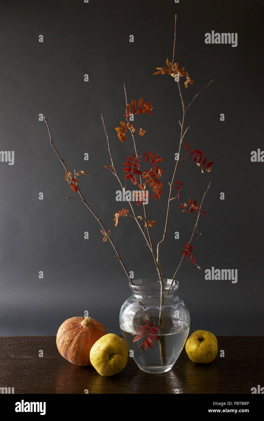 Branch with pumpkin hi-res stock photography and images - Alamy