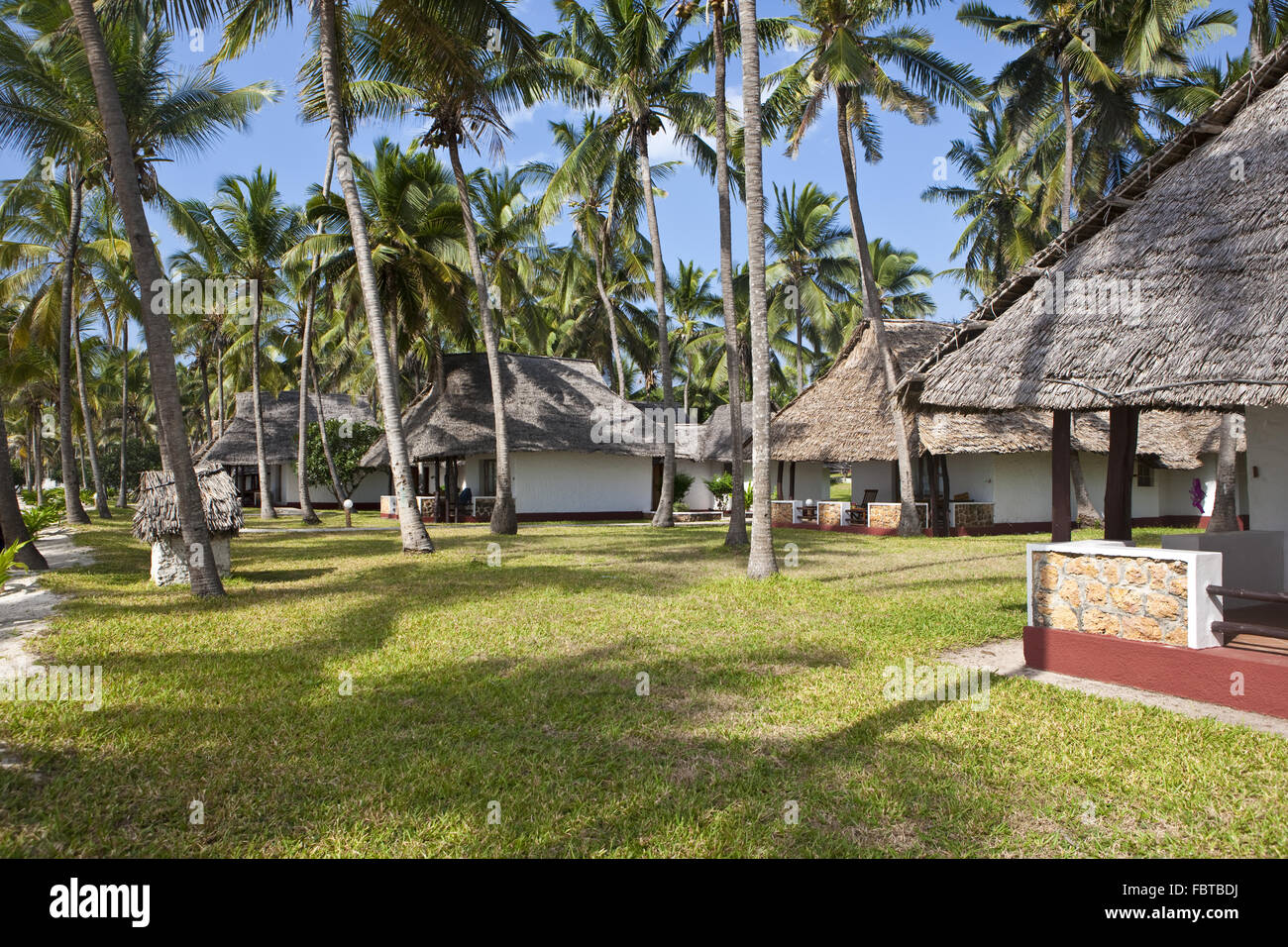 Karafuu hi-res stock photography and images - Alamy