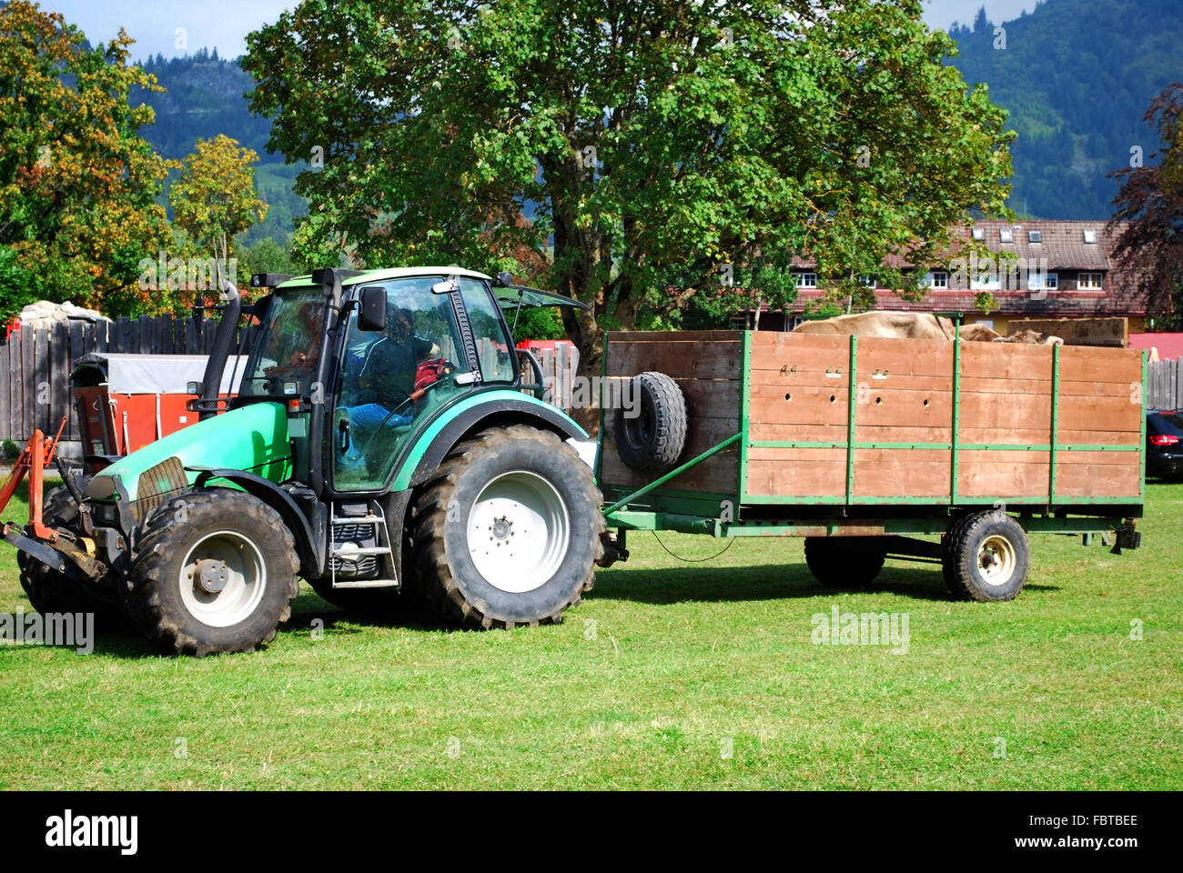 Tractor cows hi-res stock photography and images - Alamy