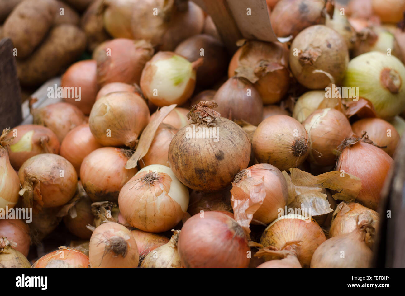 Brown onion peel hi-res stock photography and images - Alamy