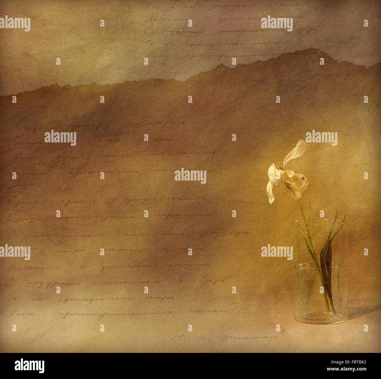 old paper background with flower Stock Photo - Alamy