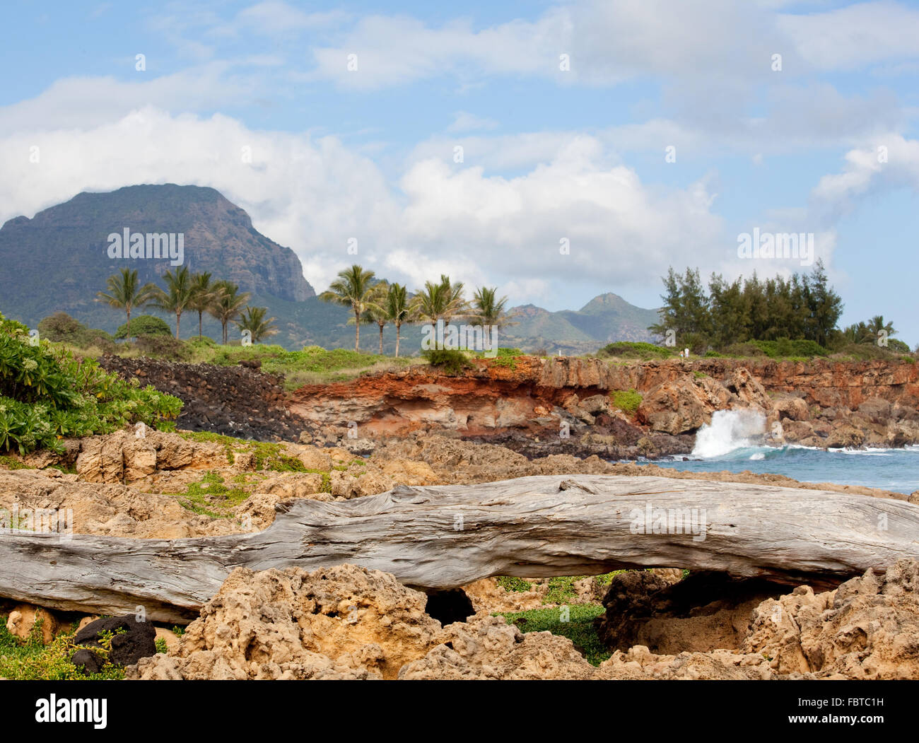 South Shore of Kauai with eroded rocks against the ocean Stock Photo ...