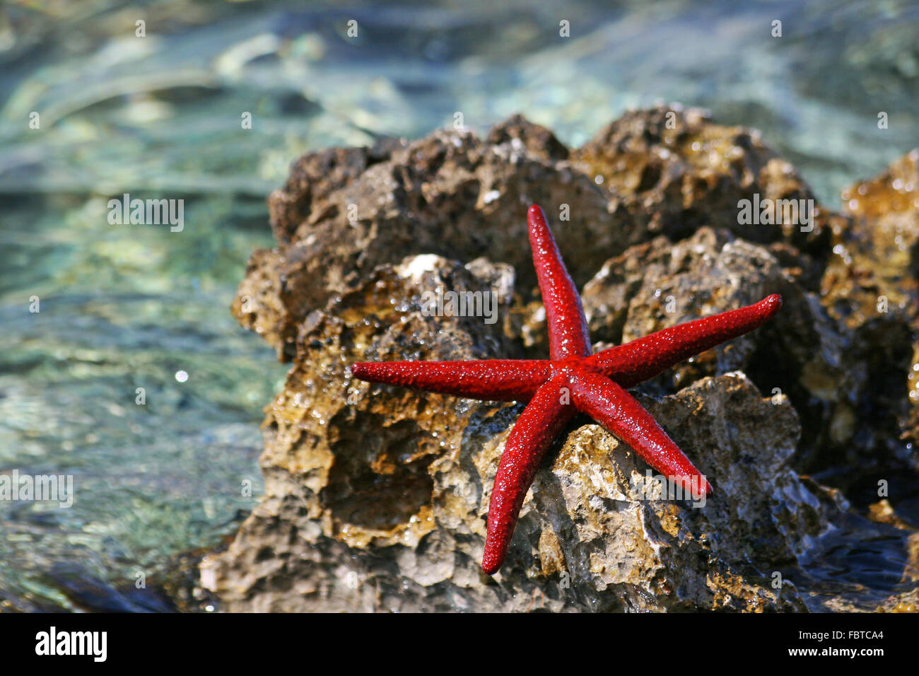 Purple star hi-res stock photography and images - Alamy