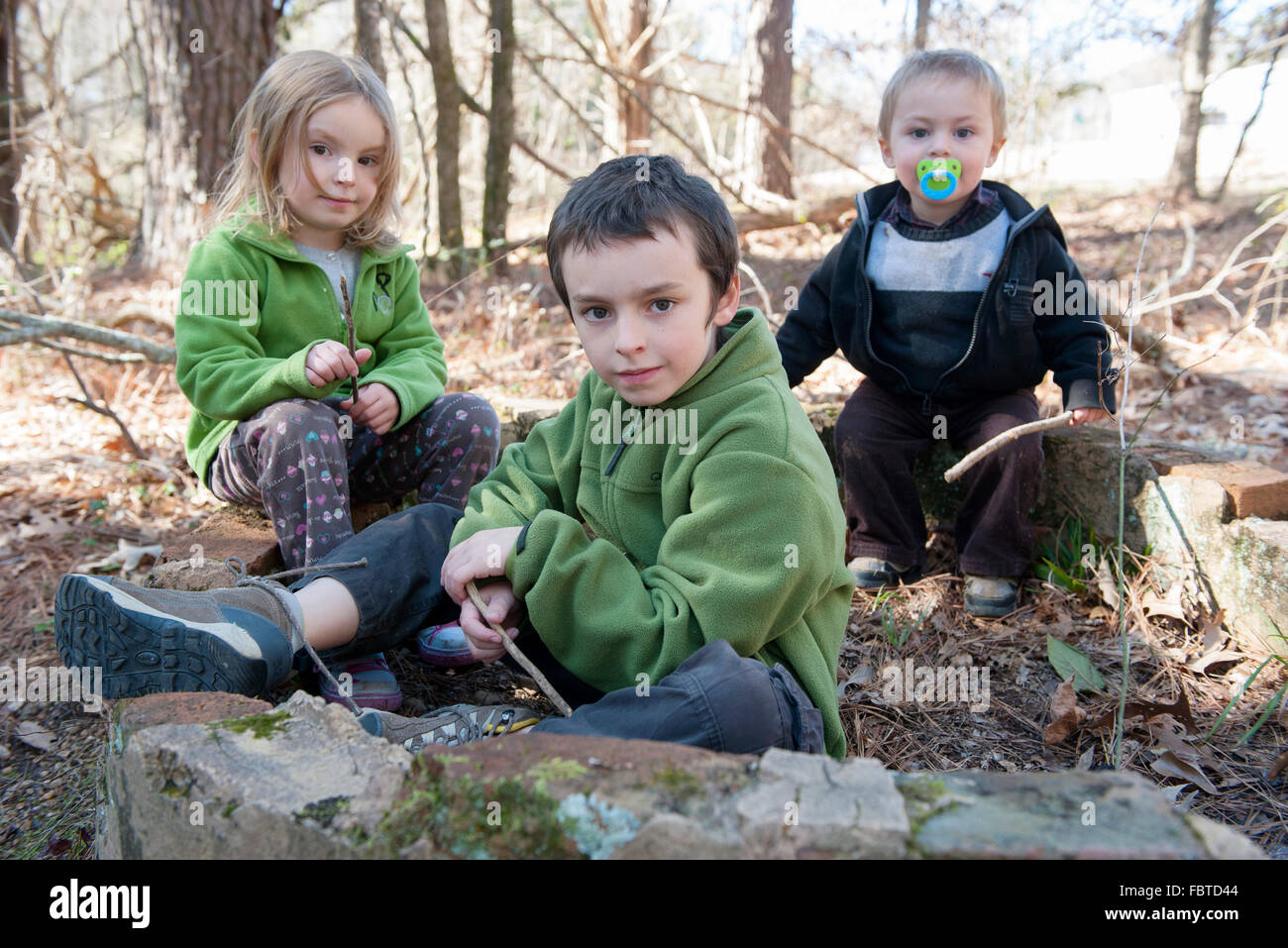 Children playing in woods Stock Photo - Alamy