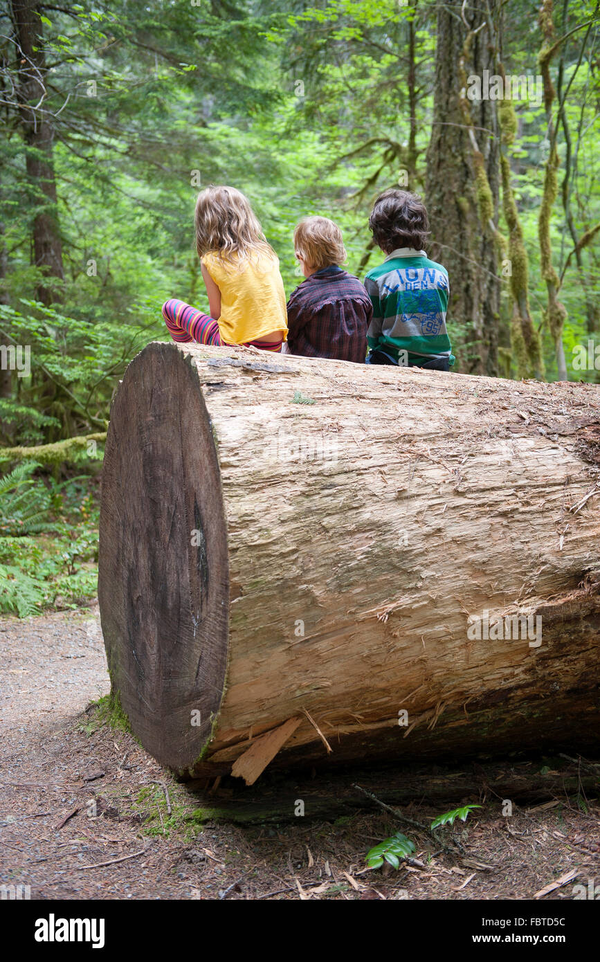 Three children sitting side side hi-res stock photography and images ...