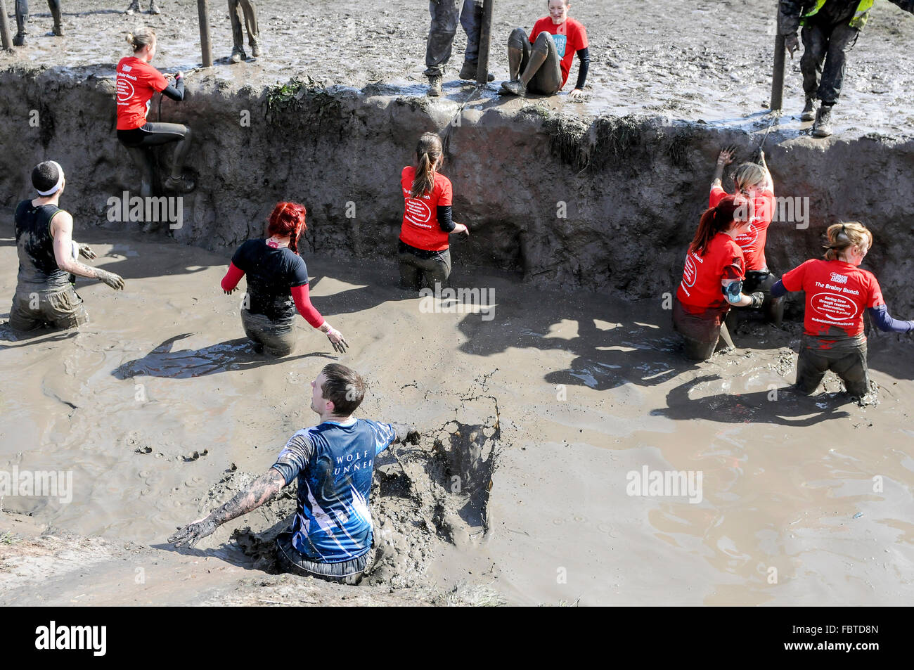 Runners go through a mud pit at obstacle course race, UK Stock Photo ...